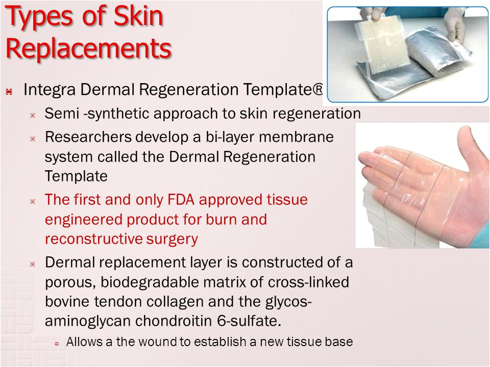 Integra Dermal Regeneration Template Williamson ga us