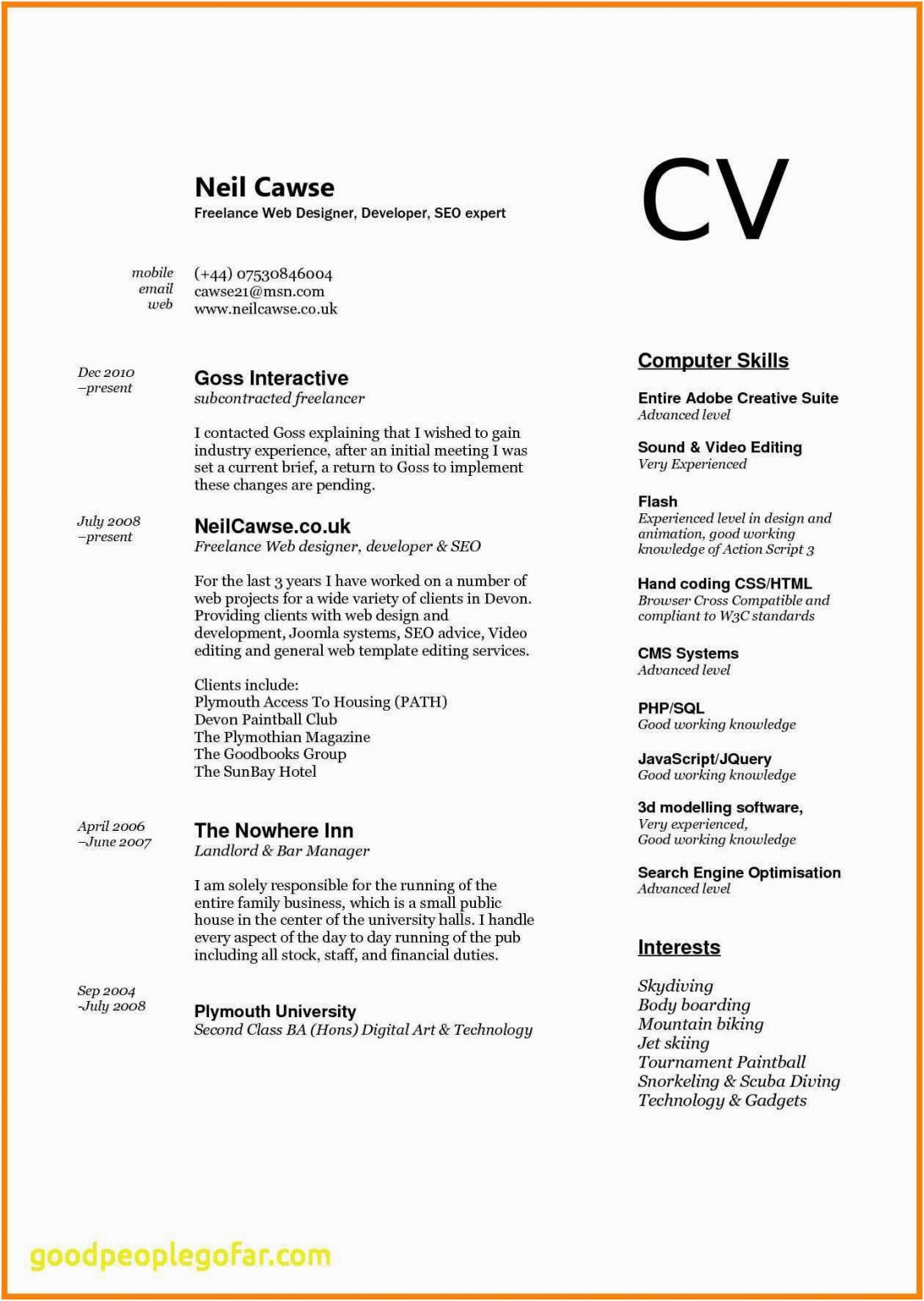 Resume Basic Knowledge Of Computer Resume Samples Computer Skills ...