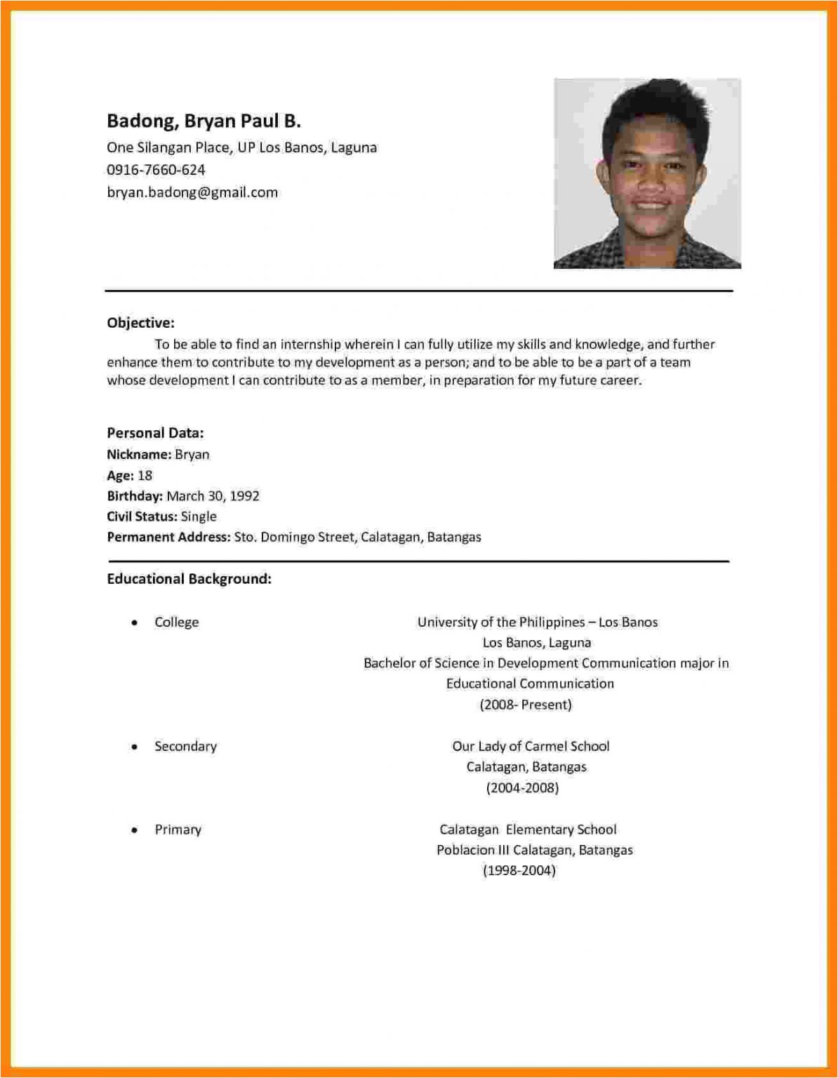 Resume Format Examples For Job Application 5 Cv Sample For Job Application Pdf Theorynpractice