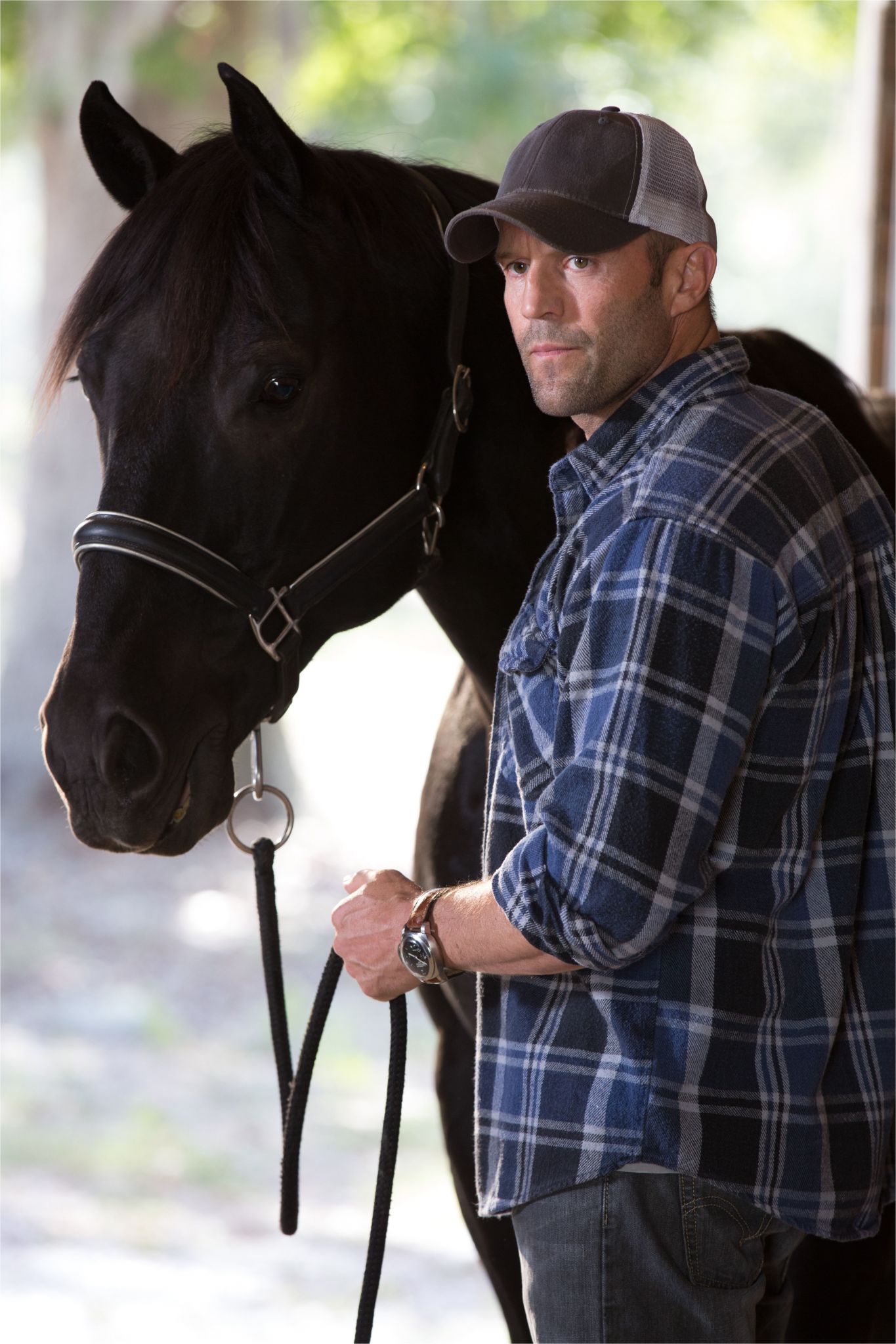 Jason Statham Happy Birthday Card 263 Best Jason Statham Images Jason ...