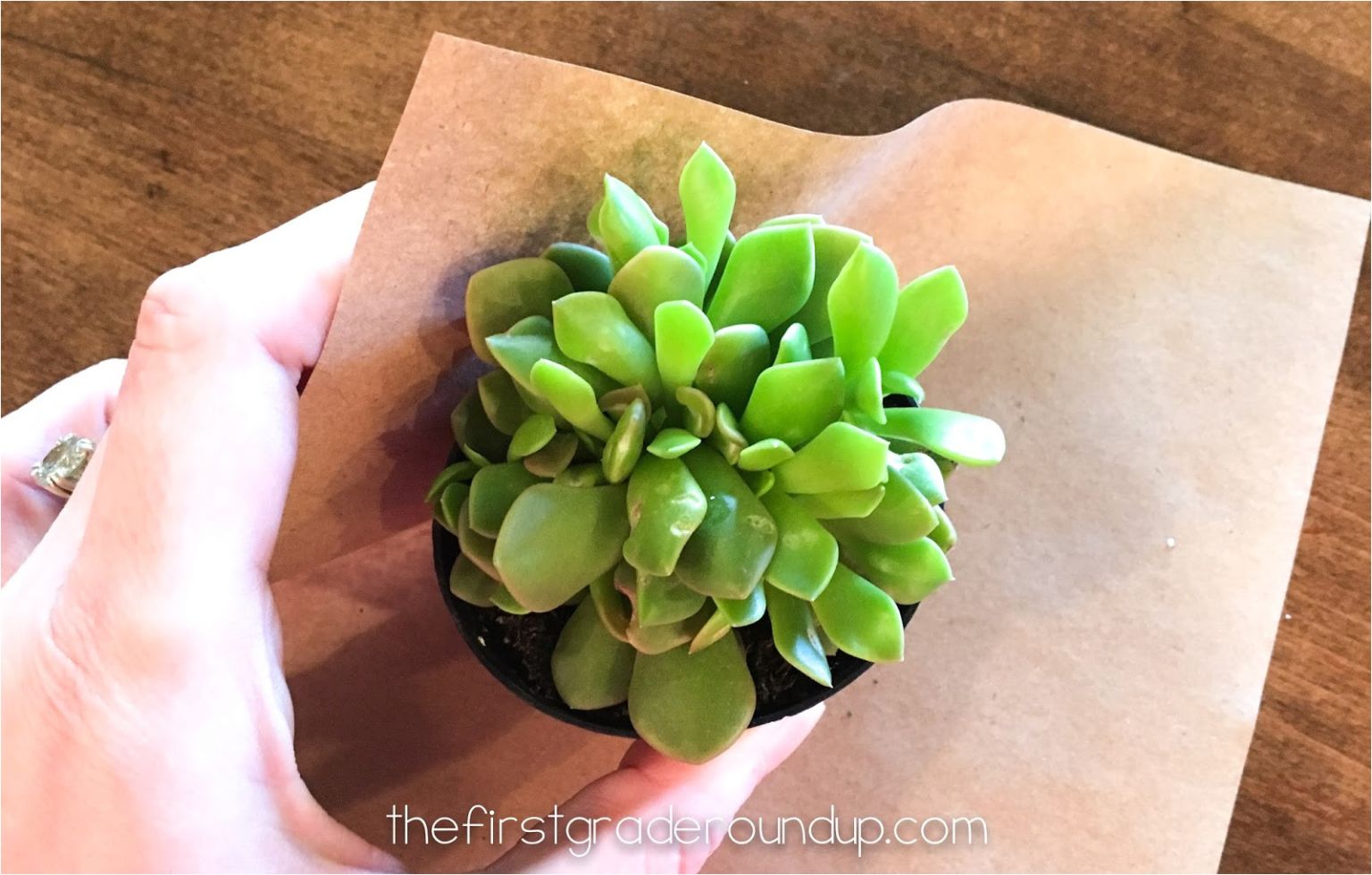 Teacher Appreciation Gift Card Flower Pot Teacher Appreciation Gift and ...