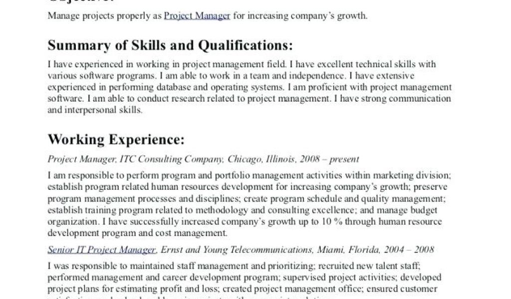Project Manager Objective Resume Samples Project Management Objective